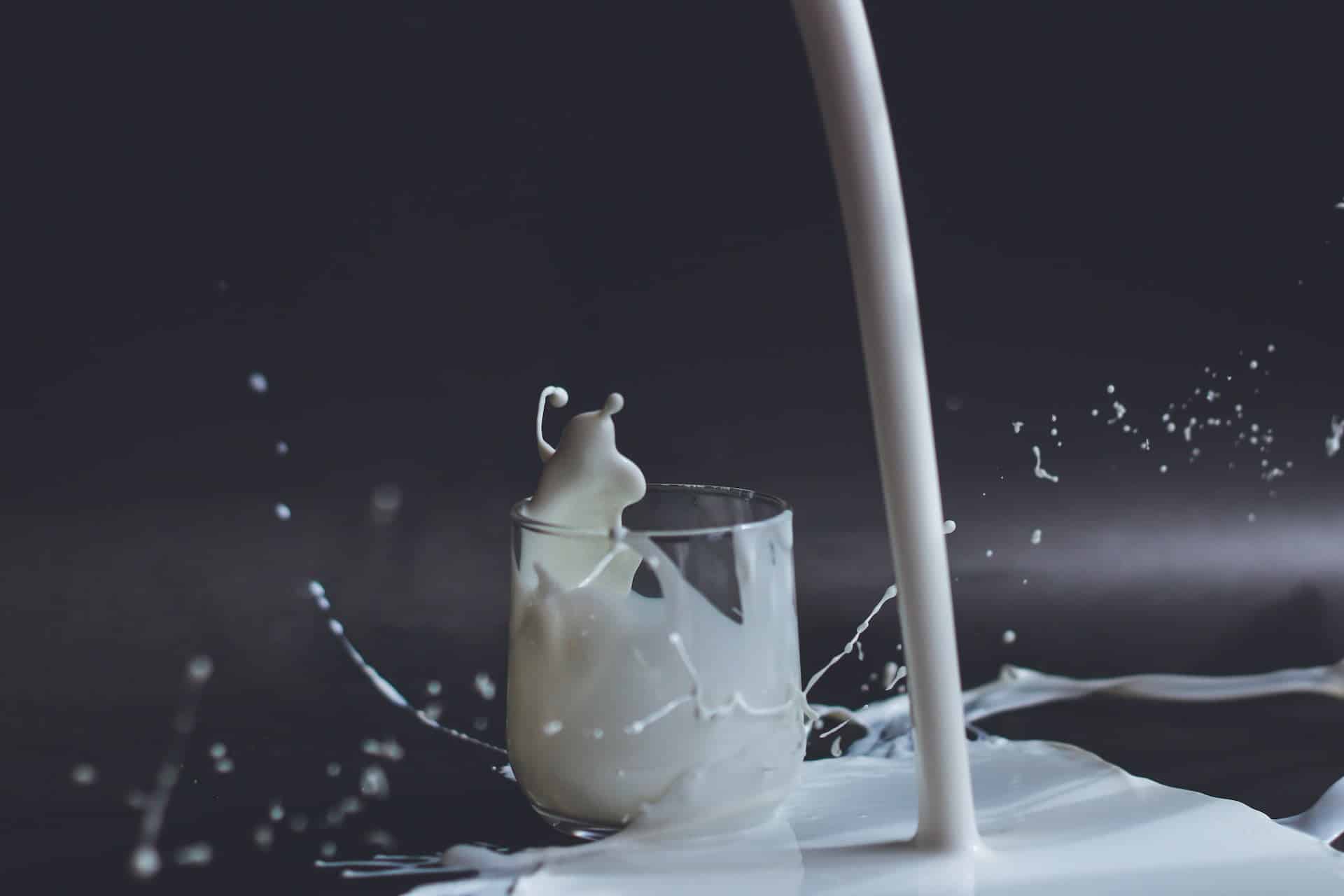 Cosa succede nel corpo quando si è intolleranti al lattosio?